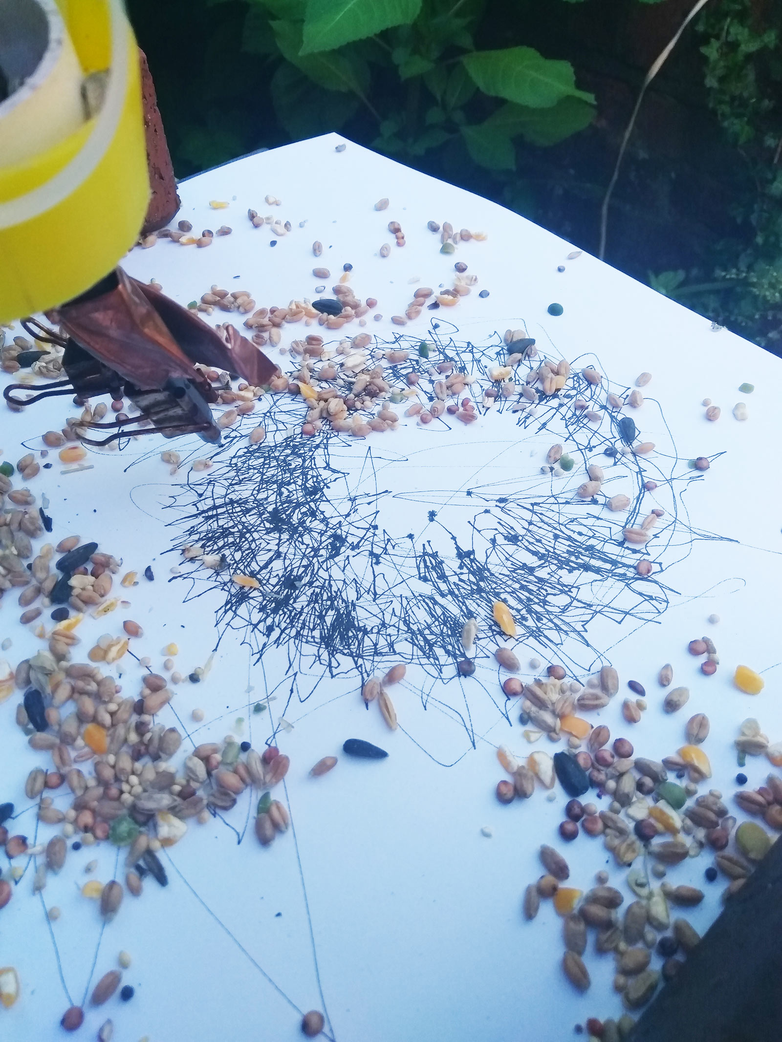 Bird and Wind drawings - gimbal experiment - Lisa Cole