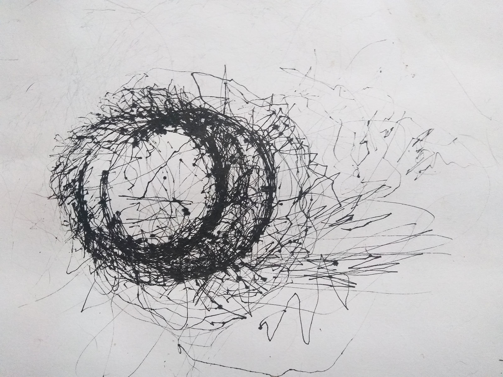 Bird and Wind drawings - gimbal experiment - Lisa Cole