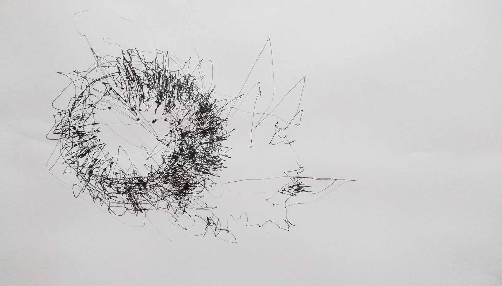 Bird and Wind drawings - gimbal experiment - Lisa Cole