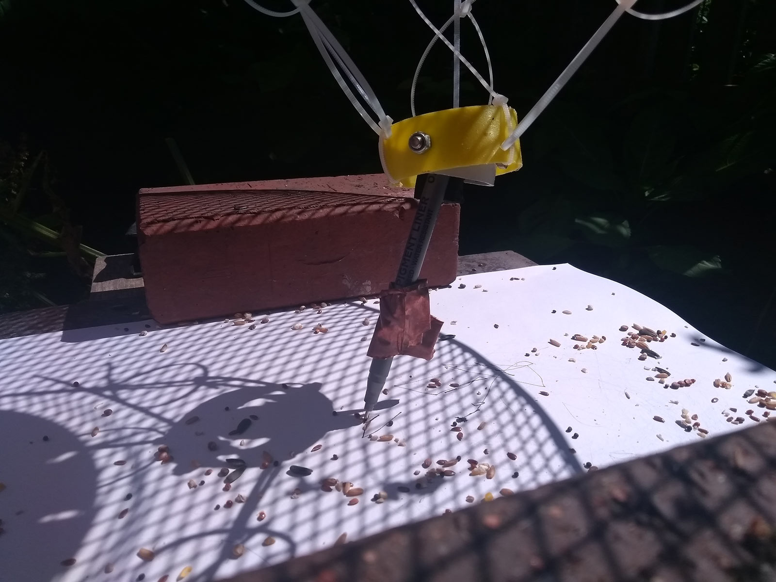 Bird and Wind drawings - gimbal experiment - Lisa Cole