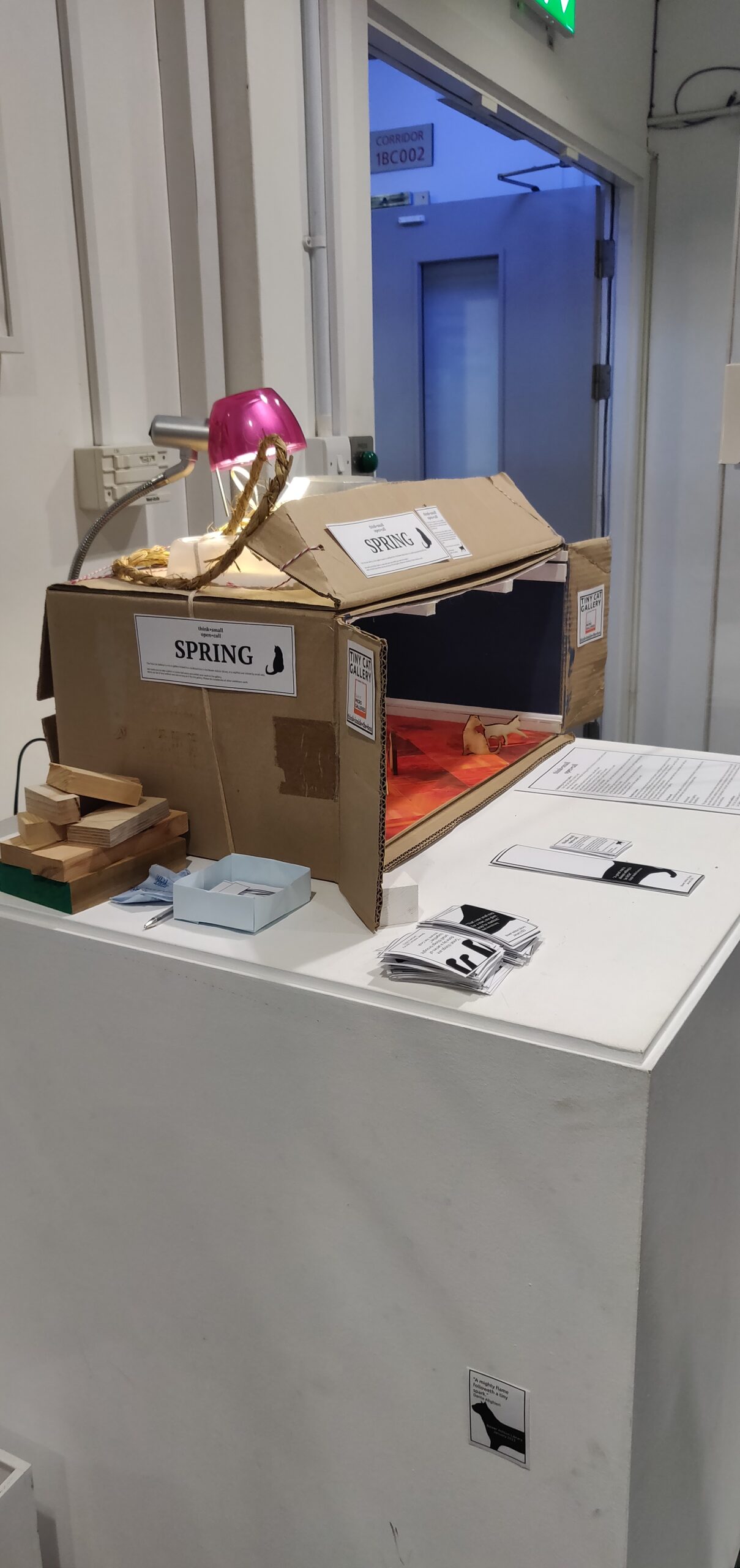 Tiny Cat Gallery at UWE Bower Ashton - Lisa Cole